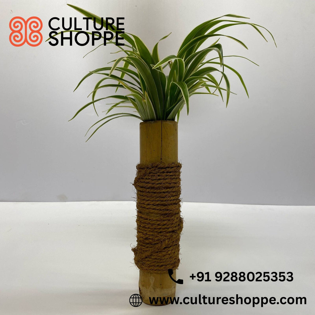 Upcycled Bamboo Puttu Maker Planter |Bamboo Planter | Garden & Indoor ...