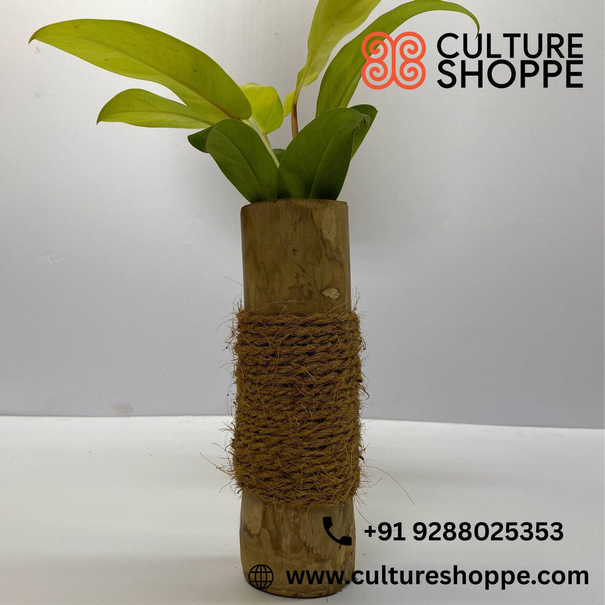 Upcycled Bamboo Puttu Maker Planter |Bamboo Planter | Garden & Indoor ...